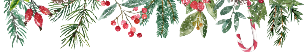 Adventkalender 2025 - Kärntner Monat