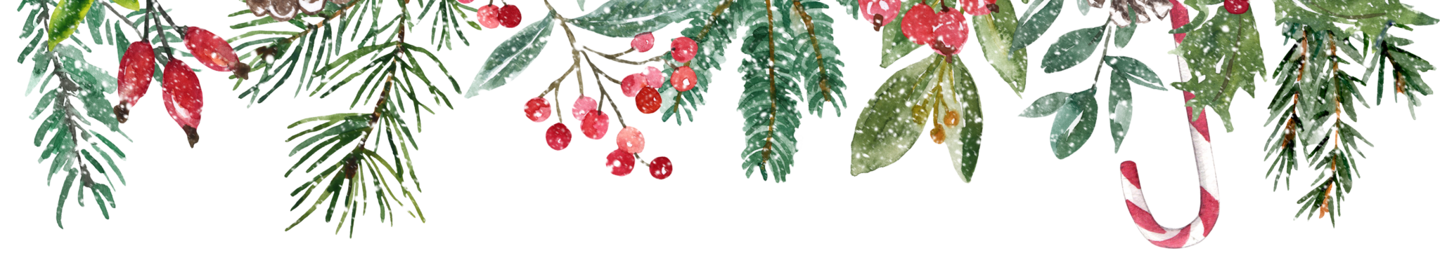 Adventkalender 2025 - Kärntner Monat