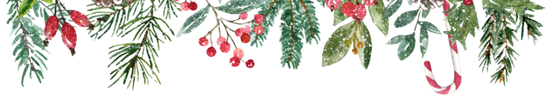 Adventkalender 2025 - Kärntner Monat