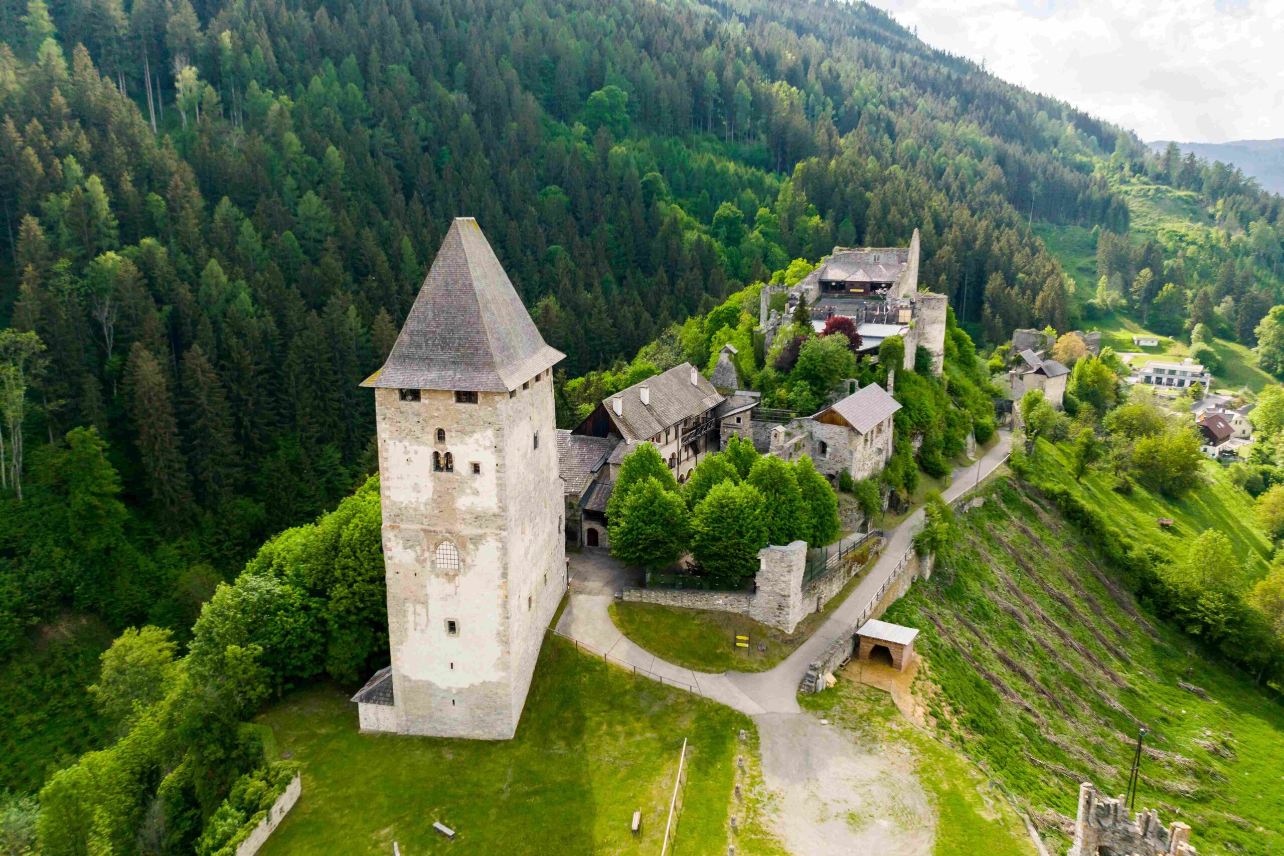 Mitstimmen für Burg Friesach! - Kärntner Monat