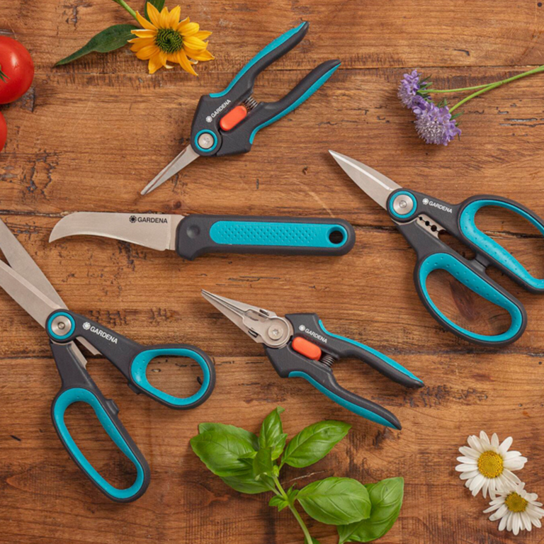 Adventkalender 2025 - Kärntner Monat